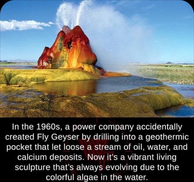 In the 1960s, a power company accidentally created Fly Geyser by ...