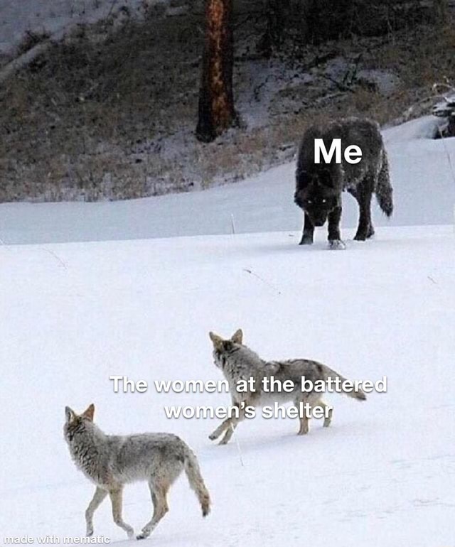 Me The women at the battered women's shelter: I "e - iFunny
