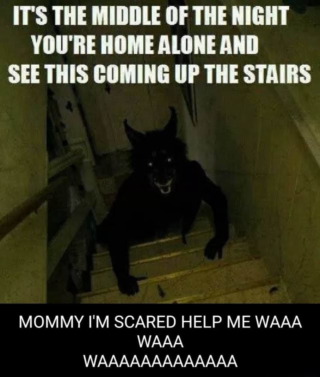 IT'S THE MIDDLE OF THE NIGHT YOU'RE HOME ALONE AND SEE THIS COMING UP ...