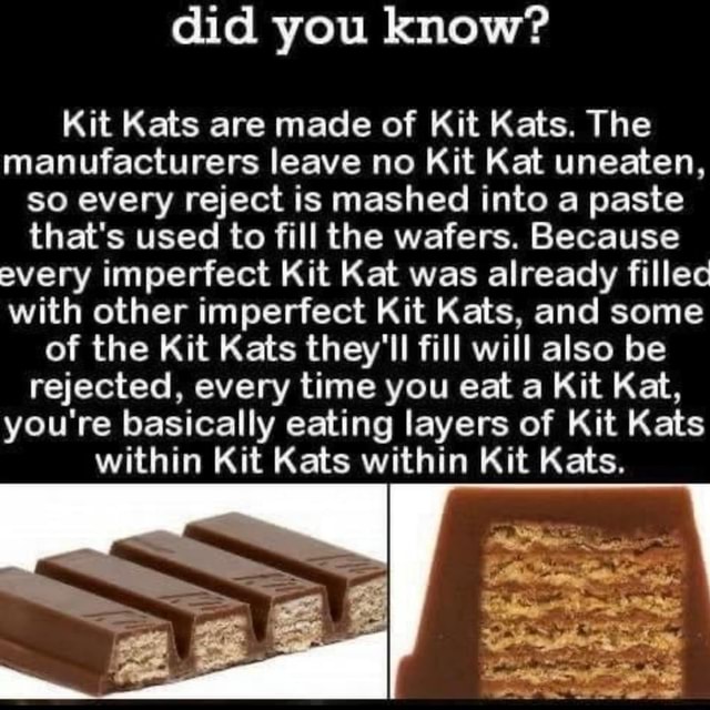 Did you know? Kit Kats are made of Kit Kats. The manufacturers leave no ...