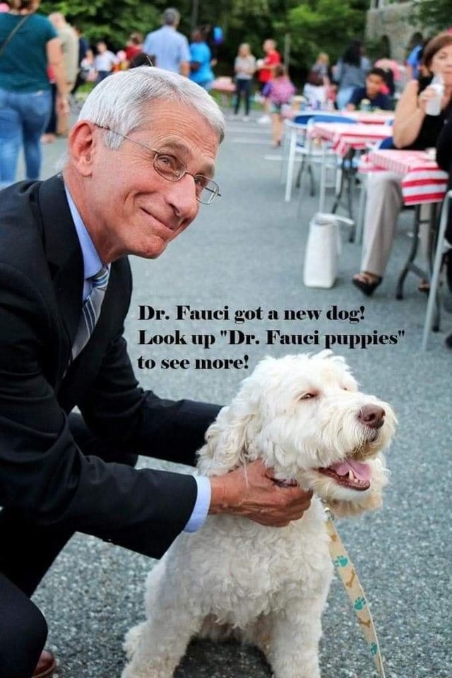 Dr. Fauci got a new dog! Look up "Dr. Fauci puppies" to see more! - iFunny