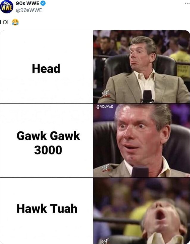 WWE @90sWWE Head Gawk Gawk 3000 Hawk Tuah - America’s best pics and videos