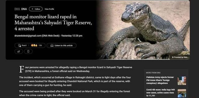 DNA Bengal monitor lizard raped in Maharashtra's Sahyadri Tiger Reserve ...
