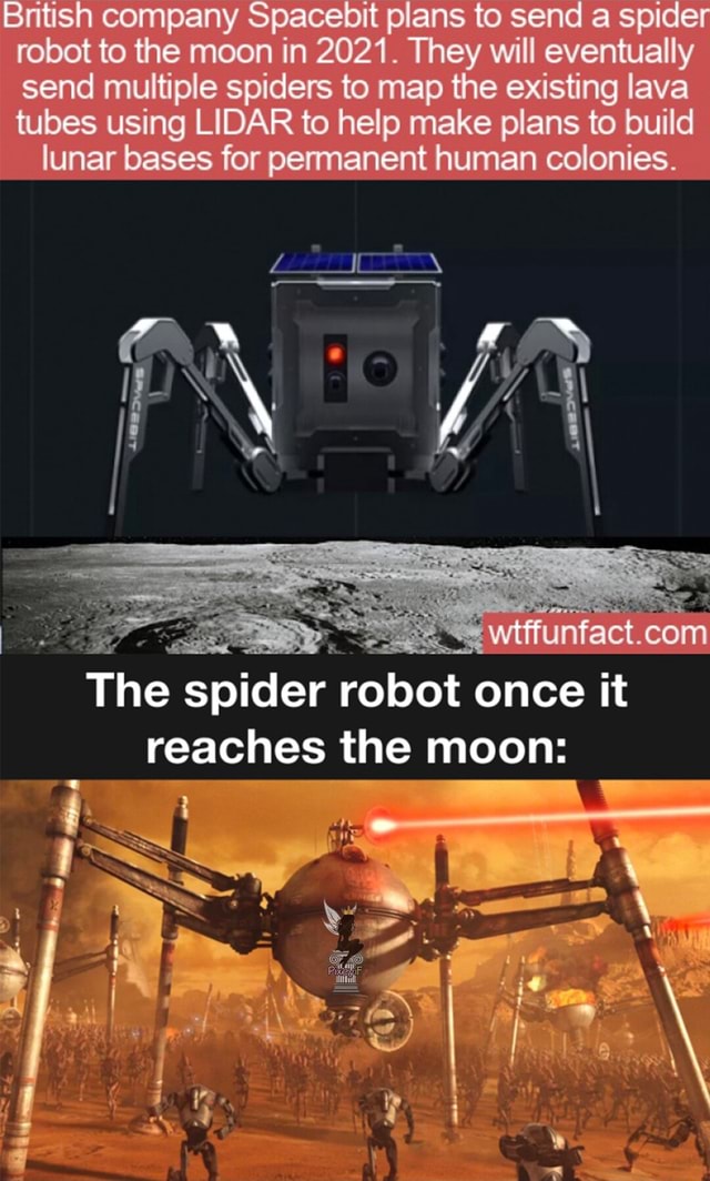 British company Spacebit plans to send a spider robot to the moon in ...