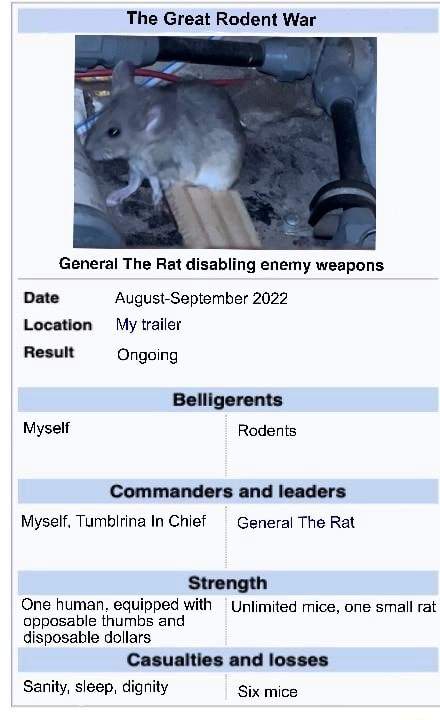 The Great Rodent War General The Rat disabling enemy weapons Date ...