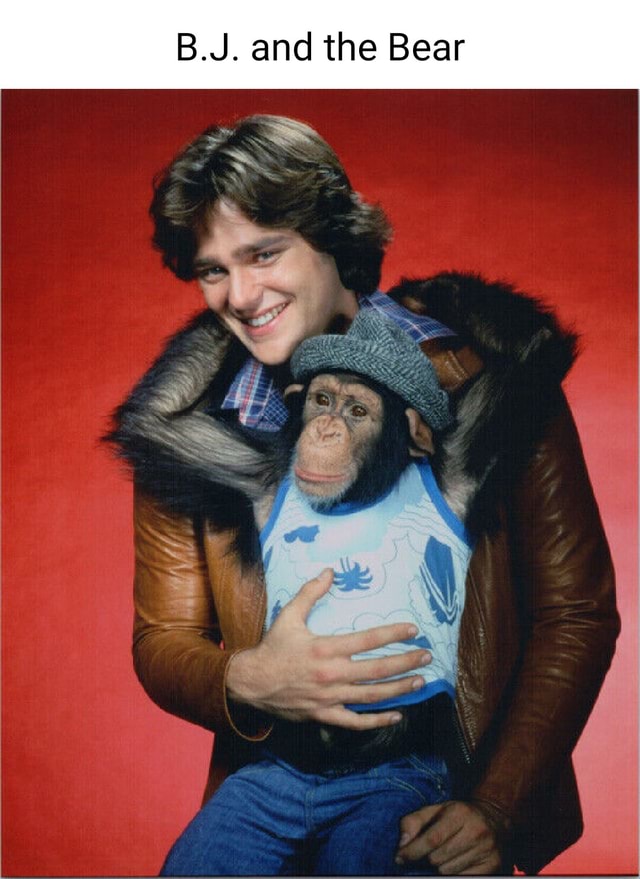 B.J. and the Bear - America’s best pics and videos