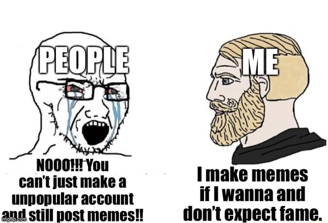 SS NOOOHT You can't just make a Imake memes unpopular account if wanna ...