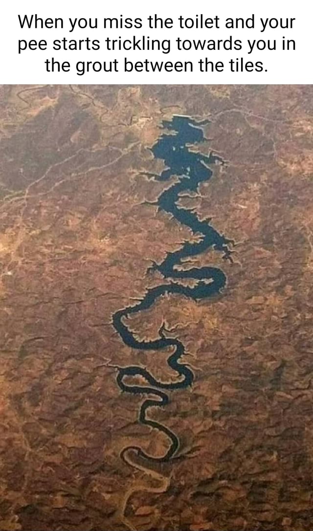 When you miss the toilet and your pee starts trickling towards you in ...