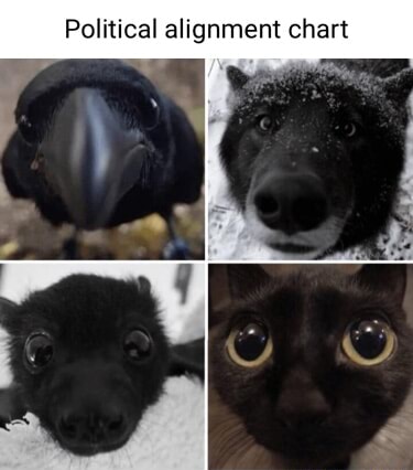 Political alignment chart - iFunny
