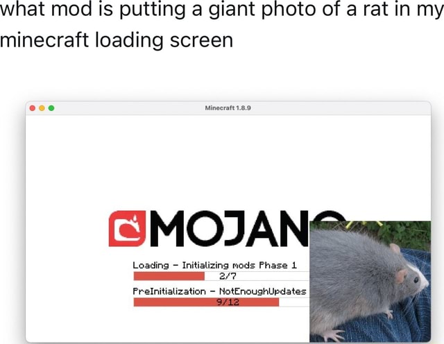 What mod Is putting a giant photo of a rat in my minecraft loading ...