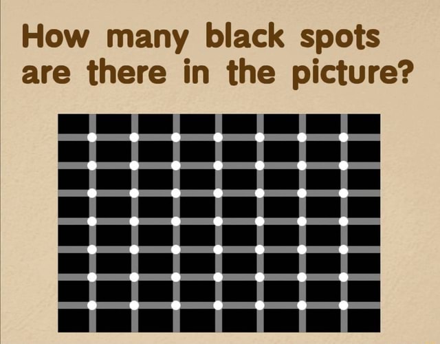 How many black spots are there in the picture? - iFunny