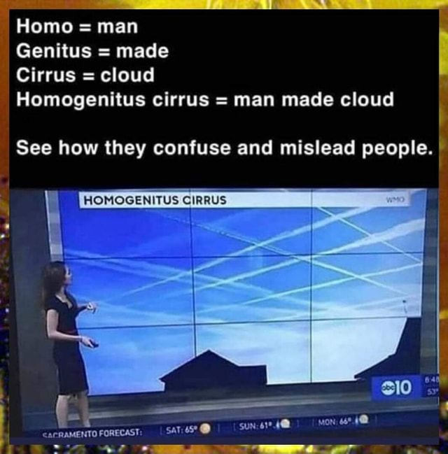 Homo = man Genitus = made Cirrus = cloud Homogenitus cirrus = man made ...