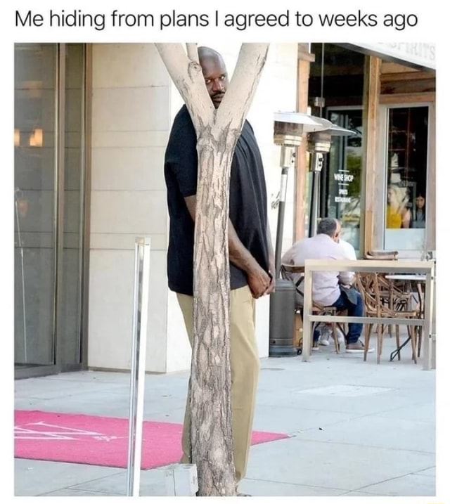 Me hiding from plans I agreed to weeks ago - iFunny