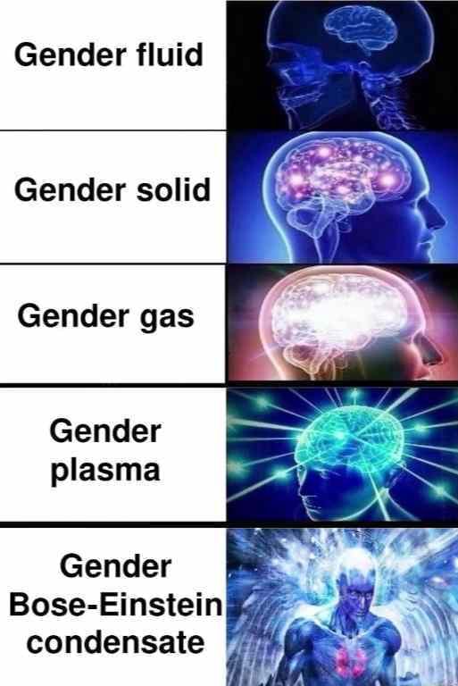 Gender fluid Gender solid Gender gas Gender plasma Gender Bose-Einstein ...