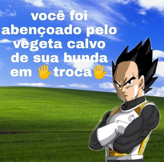 Você foi abençoado pelo vegeta calvo de sua bunda em "em troca - iFunny ...