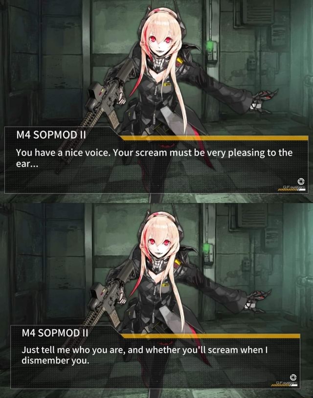 I SOPMOD II You have a nice voice. Your scream must be very pleasing to ...