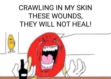 CRAWLING IN MY SKIN THESE WOUNDS, THEY WILL NOT HEAL! - iFunny