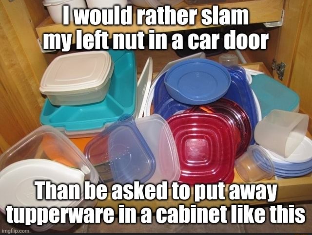 Would rather slam my left nut in a car door Than be asked to put away ...