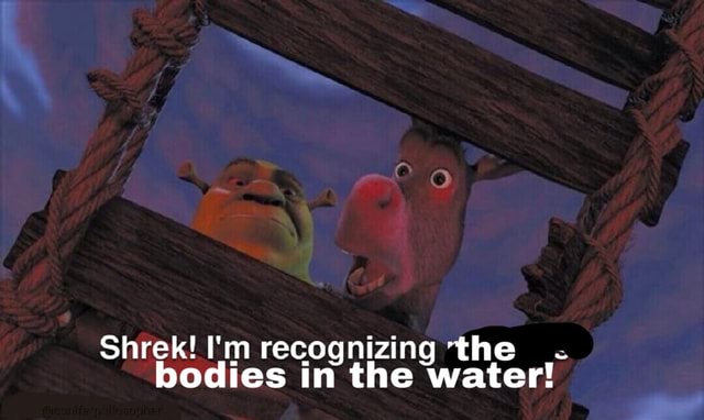 Shrek! I'm recognizing the bodies in the water! - iFunny