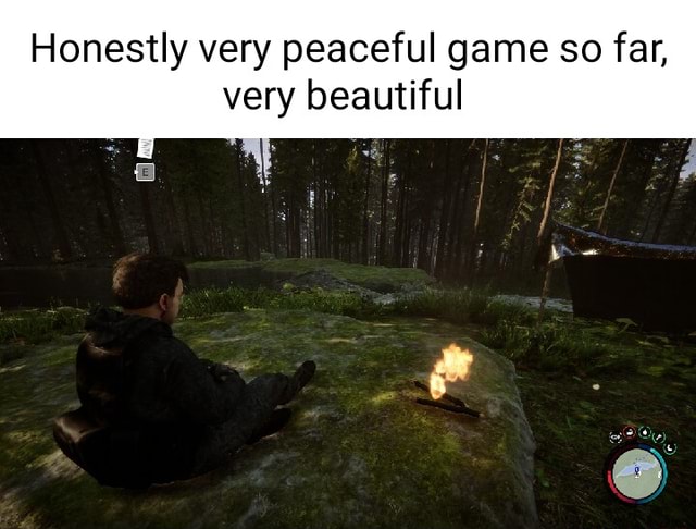 Honestly very peaceful game so far, very beautiful - iFunny