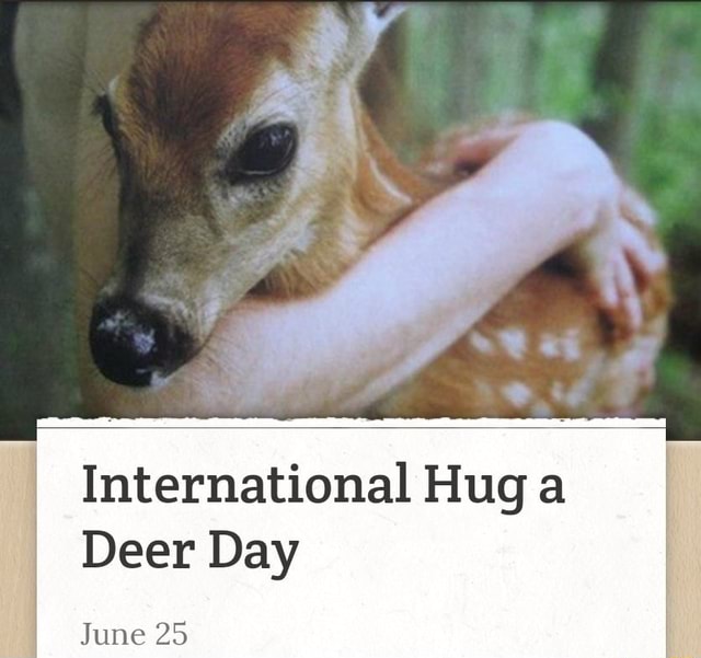 International Hug a Deer Day June 25 - iFunny