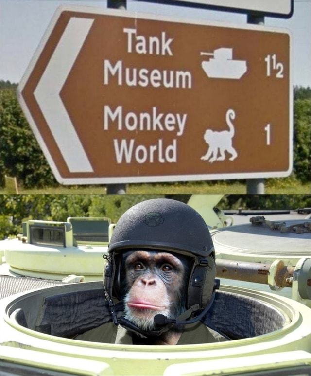 Tank Museum Monkey World - iFunny