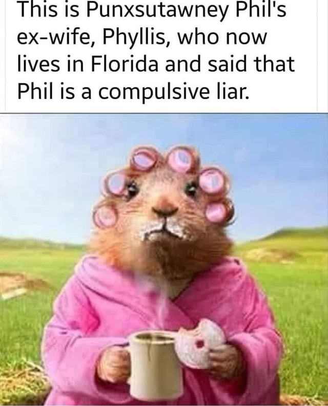 This ts Punxsutawney Phil's ex-wife, Phyllis, who now lives in Florida ...