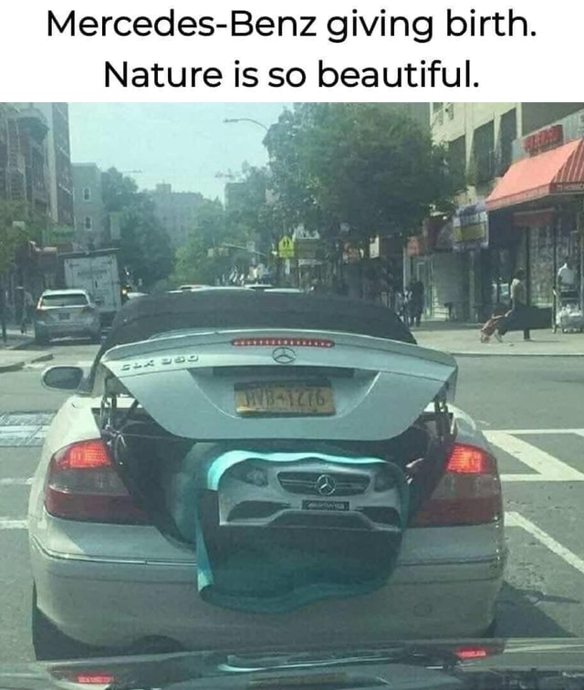 Mercedes-Benz giving birth. Nature is so beautiful. of - iFunny