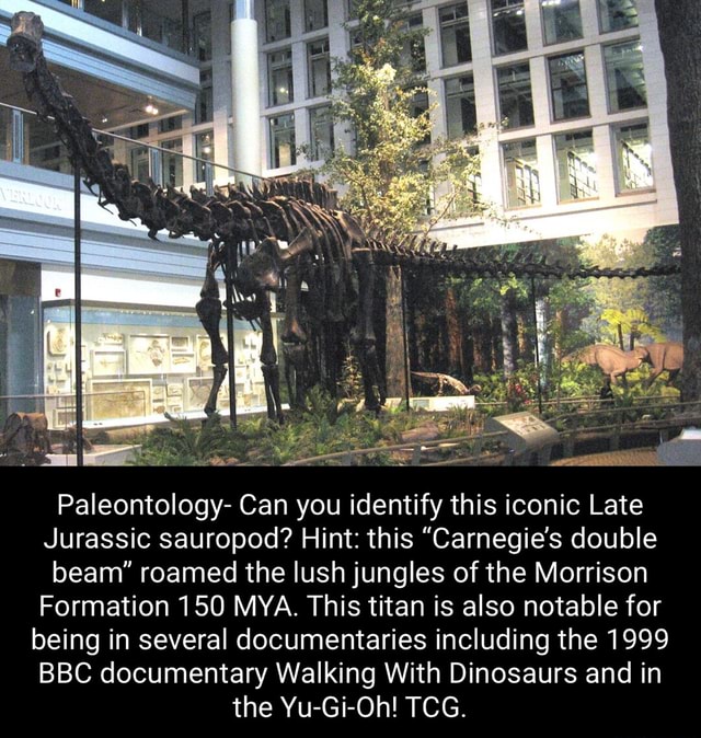Paleontology- Can you identify this iconic Late Jurassic sauropod? Hint ...