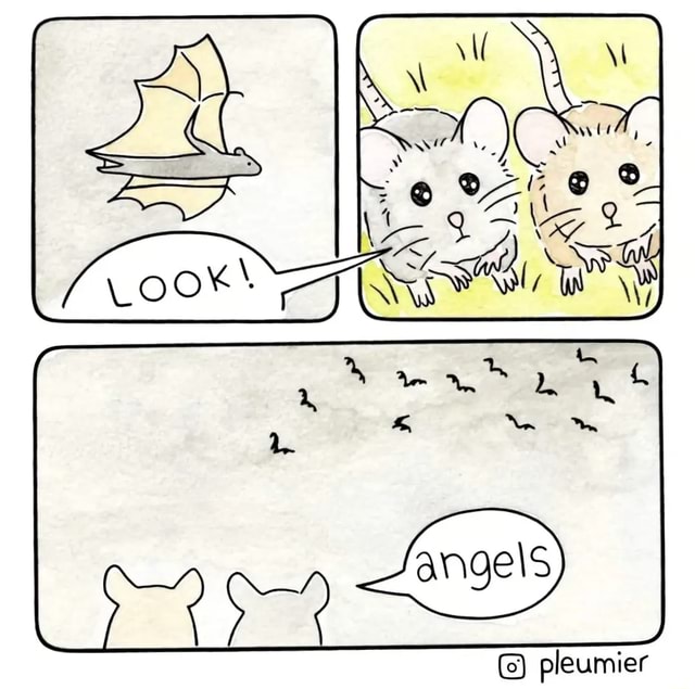 Ff SE pleumier - iFunny