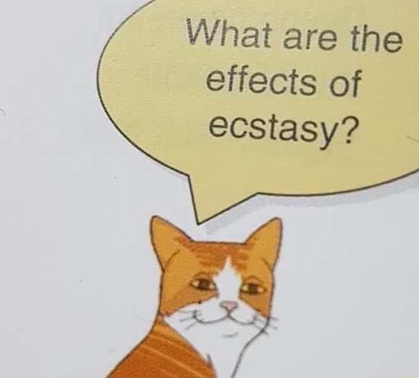 What are the effects of ecstasy? - iFunny