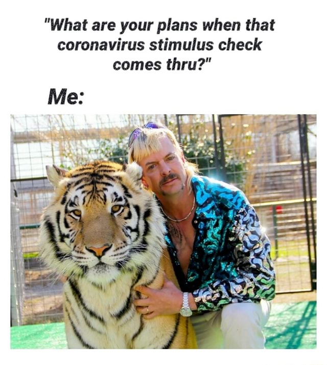 "What are your plans when that coronavirus stimulus check comes thru ...