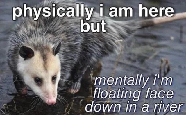 Physically am here but 'mentally floating face down in a river - iFunny