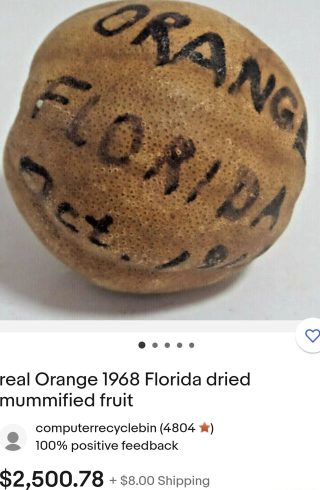 Real Orange 1968 Florida dried mummified fruit computerrecyclebin (4804 ...