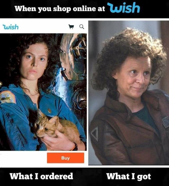 When you shop online at 'wish What I ordered What I got - iFunny