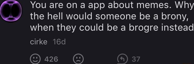 Oe You are on a app about memes. Why the hell would someone be a brony ...