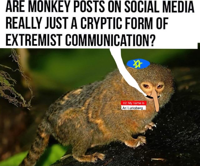 ARE MONKEY POSTS ON SOCIAL MEDIA REALLY JUST A CRYPTIC FORM OF ...