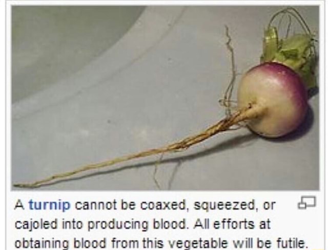 A turnip cannot be coaxed, squeezed, or &] cajoled into producing blood ...
