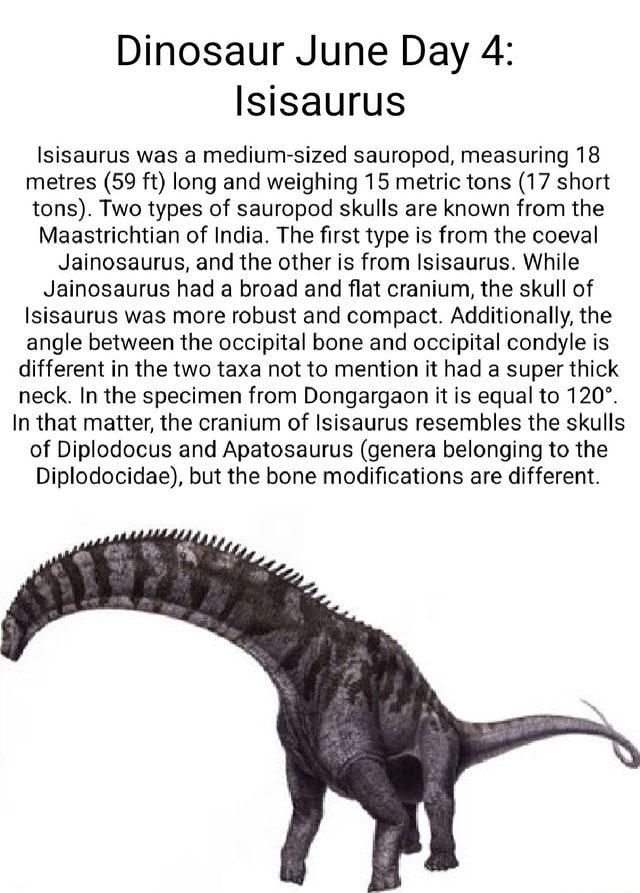Dinosaur June Day 4: Isisaurus was a medium-sized sauropod, measuring ...