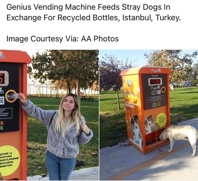 Genius Vending Machine Feeds Stray Dogs In Exchange For Recycled ...
