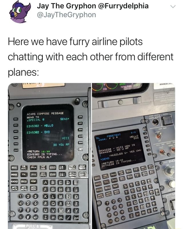Jay The Gryphon @Furrydelphia @JayTheGryphon Here we have furry airline ...