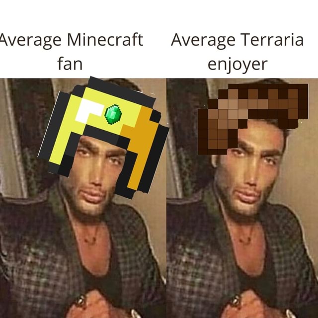 Average Minecraft Average Terraria fan enjoyer - iFunny