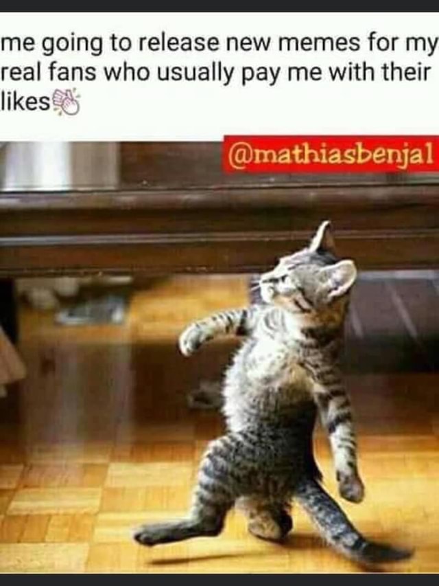 Me going to release new memes for my real fans who usually pay me with ...