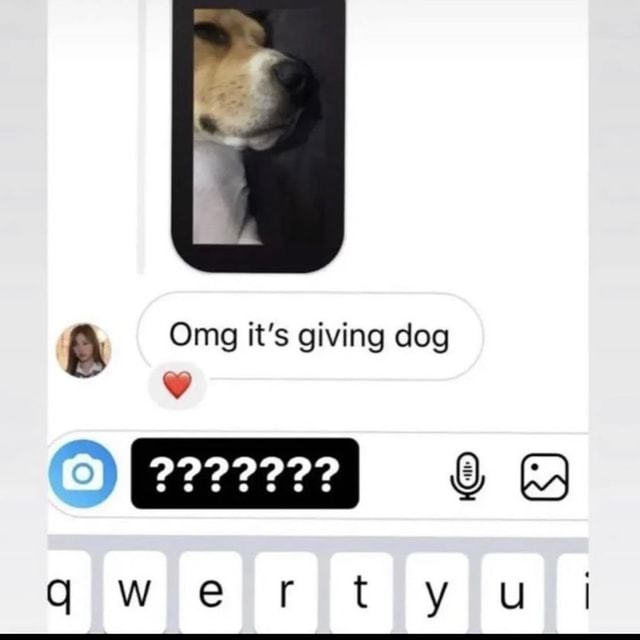 Omg it's giving dog CC. Qwerty iu - iFunny