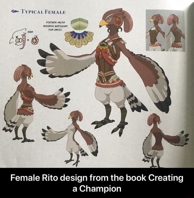 Female Rito design from the book Creating a Champion - Female Rito ...