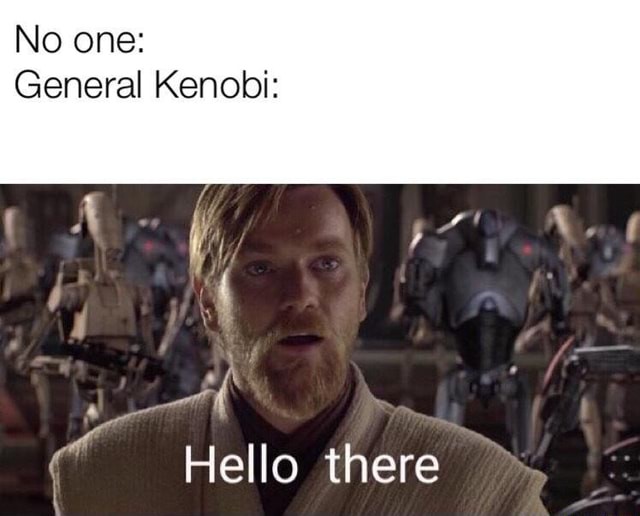 You know memes - No one: General Kenobi: Hello there - iFunny