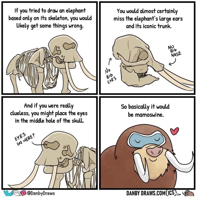 If you tried to draw an elephant based only on its skeleton, you would ...