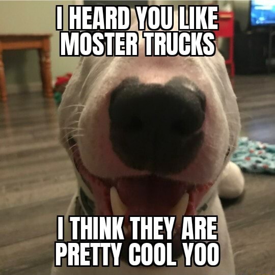 THINK THEY PRETTY COOL. YOO - iFunny