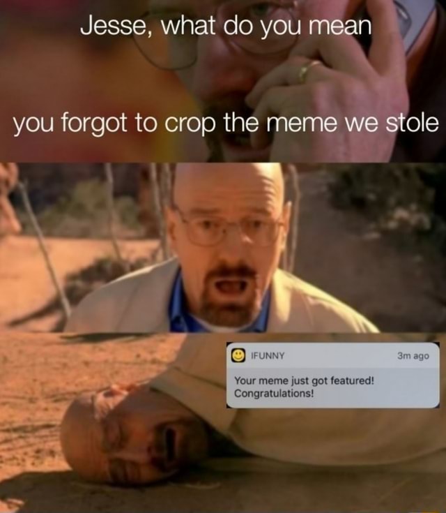 Jesse, what do you mean you forgot to crop the meme we siole Your meme ...