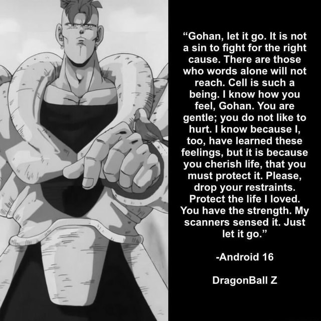 "Gohan, let it go. It is not a sin to fight for the right cause. There ...